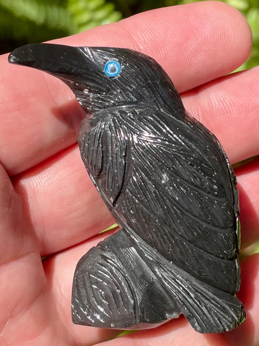 Medium Black Obsidian Raven with Blue Eyes
