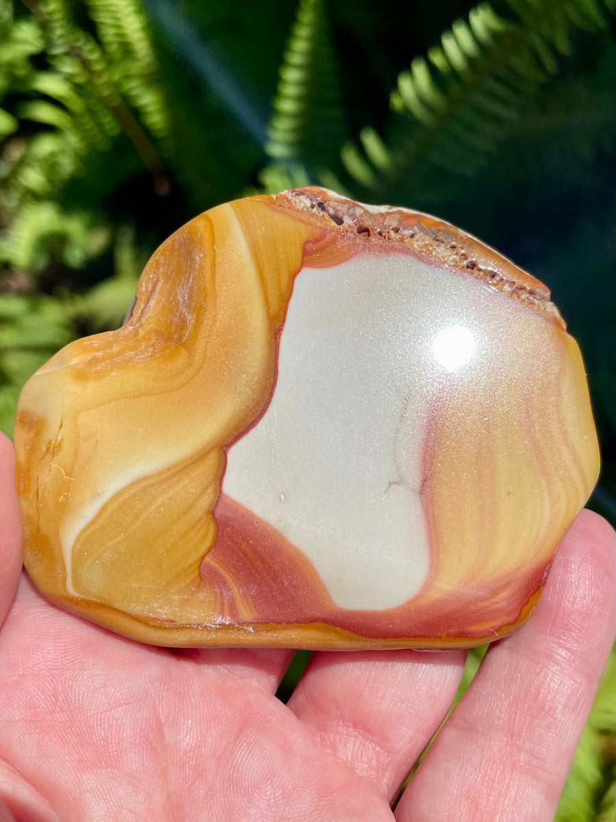 Rhyolite Palm Stone