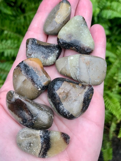 Septarian (Dragon's Stone) Tumbled Stones