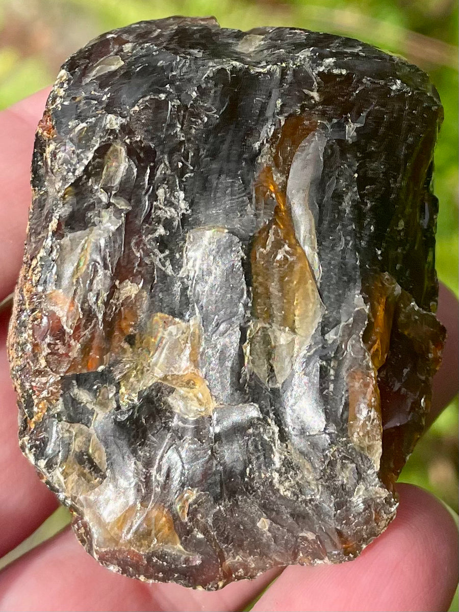 Amber Palm Stone