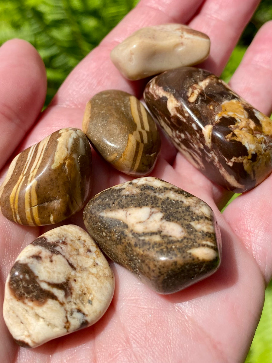 Large Zebra Jasper Tumbled Stones