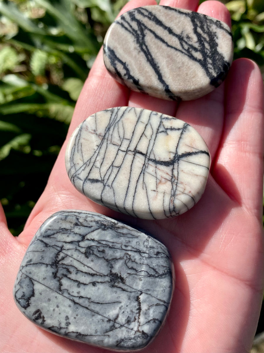 Spider Web Jasper Palm Stone